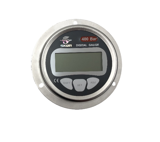 DPM-400. 100mm Mk4 Digital Gauge for Panel Mounting